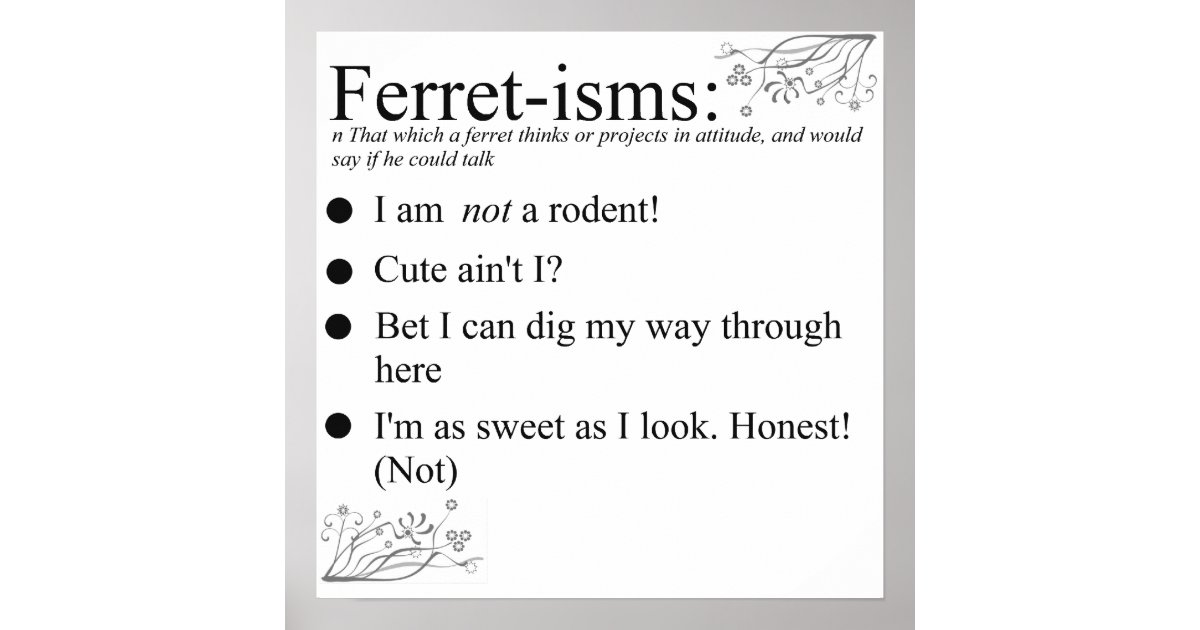 Ferret Faces Sayings and Quotes Poster | Zazzle