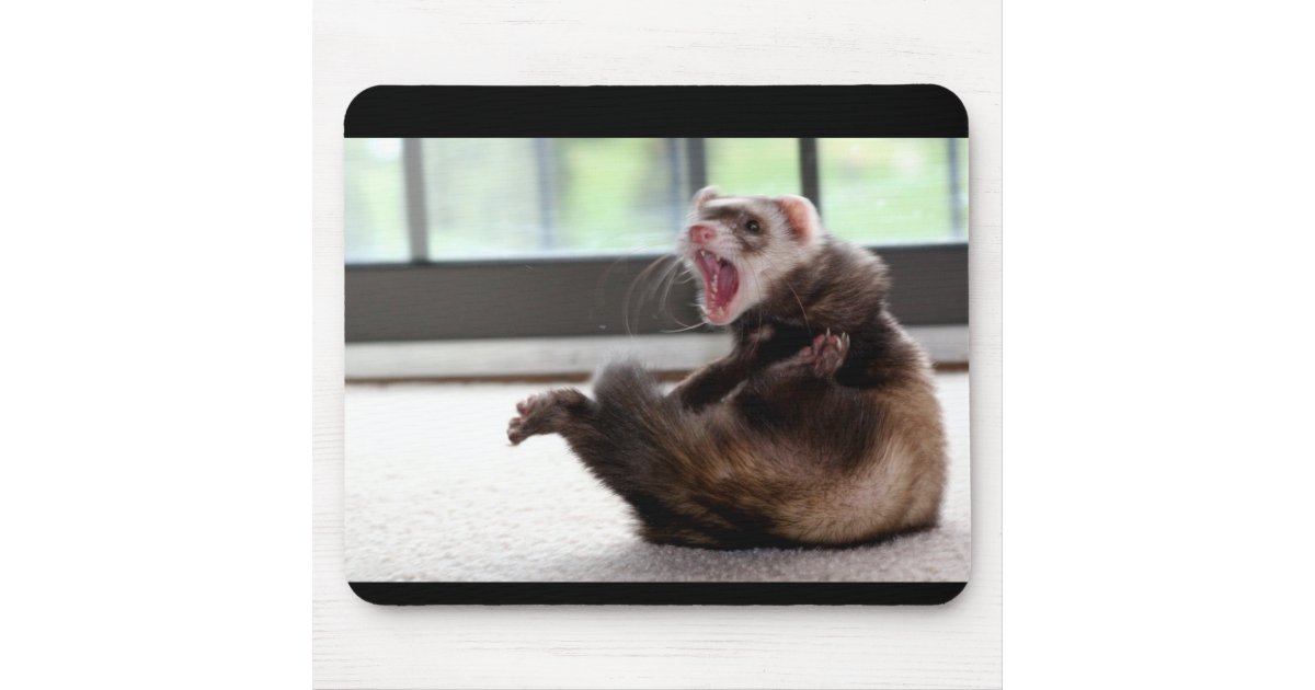 ferret mouse pad | Zazzle