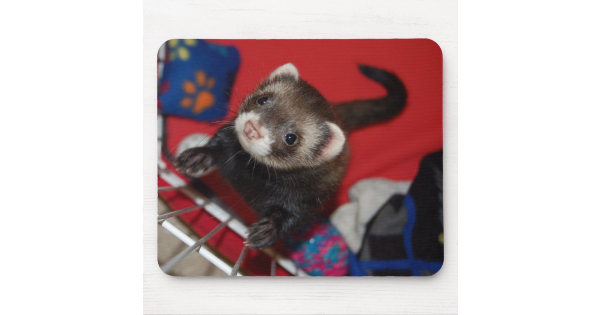 Ferret Mouse Pad | Zazzle