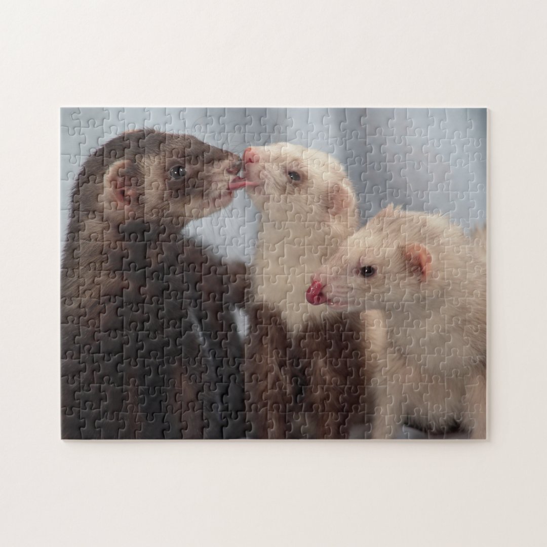 Ferret Puzzle - Three Ferret Friends Love | Zazzle