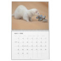 Ferrets Calendar - 3 - | Zazzle