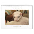 Ferrets Calendar - 3 - | Zazzle