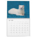 Ferrets Calendar - 3 - | Zazzle