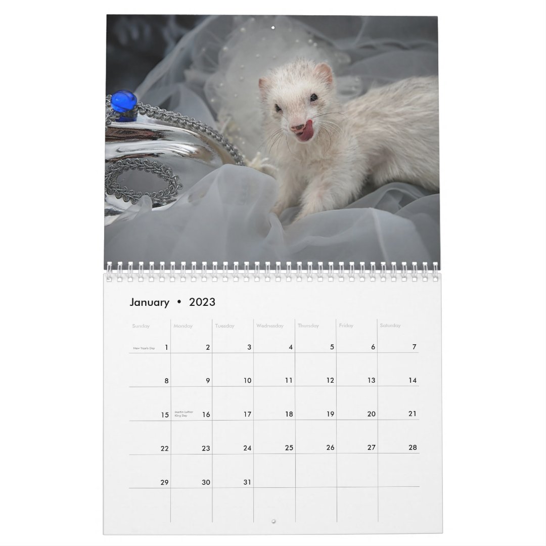 Ferrets Calendar - 3 - | Zazzle