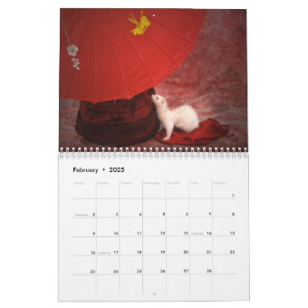 Ferrets Calendar - 4 - | Zazzle