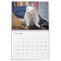 Ferrets Calendar - 4 - | Zazzle