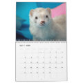 Ferrets Calendar - 4 - | Zazzle