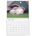 Ferrets Wall Calendar | Zazzle