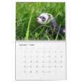 Ferrets Wall Calendar | Zazzle