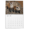 Ferrets Wall Calendar | Zazzle