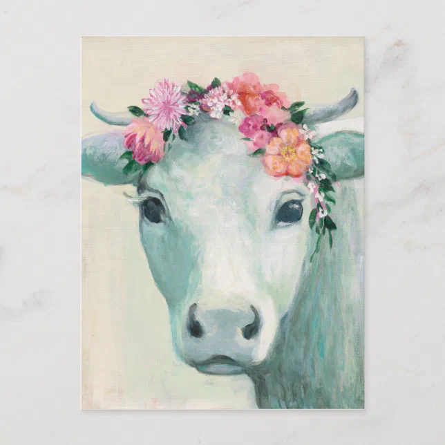 Festival Cow Postcard | Zazzle