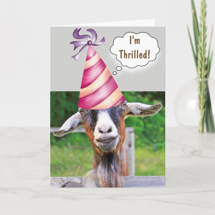 Festive Goat Birthday Card | Zazzle.com