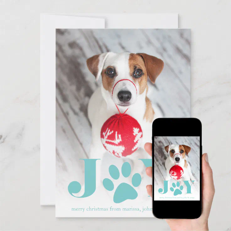Festive Paws | Pet Photo Holiday Card | Zazzle