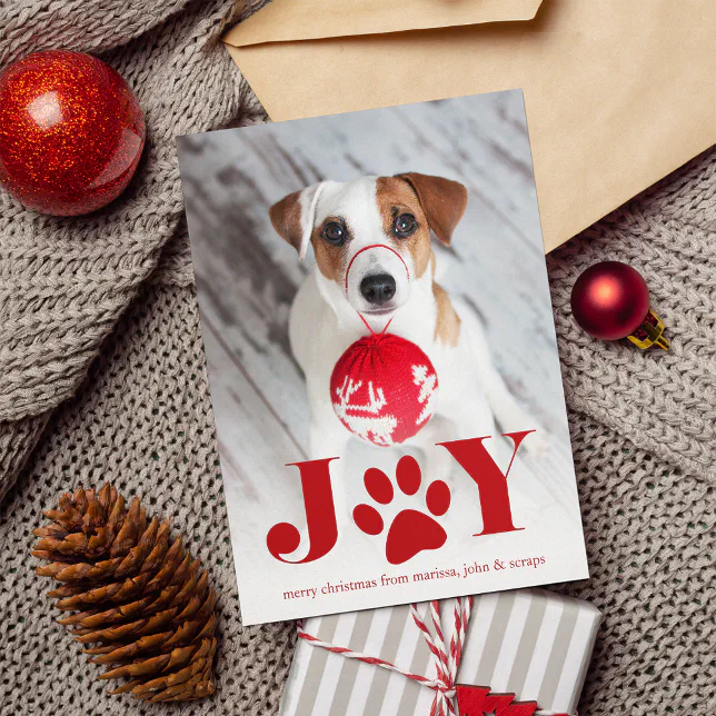 Festive Paws | Pet Photo Holiday Card | Zazzle
