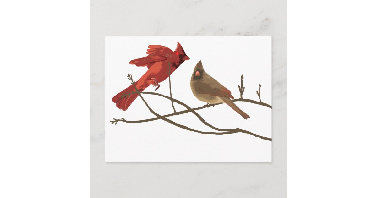 Festive Red Cardinals Postcard | Zazzle