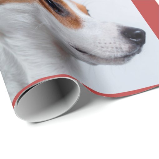 Festive Red Dog Bones Photo Collage Christmas Wrapping Paper | Zazzle