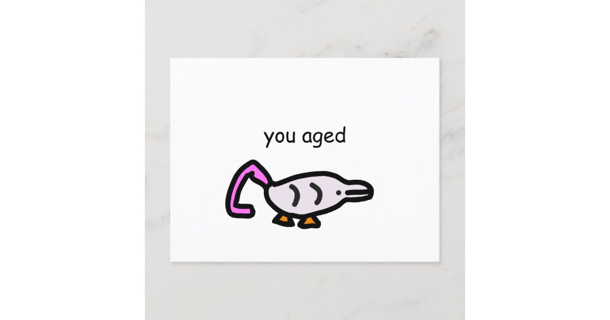 FF "Happy Birthday" Card | Zazzle