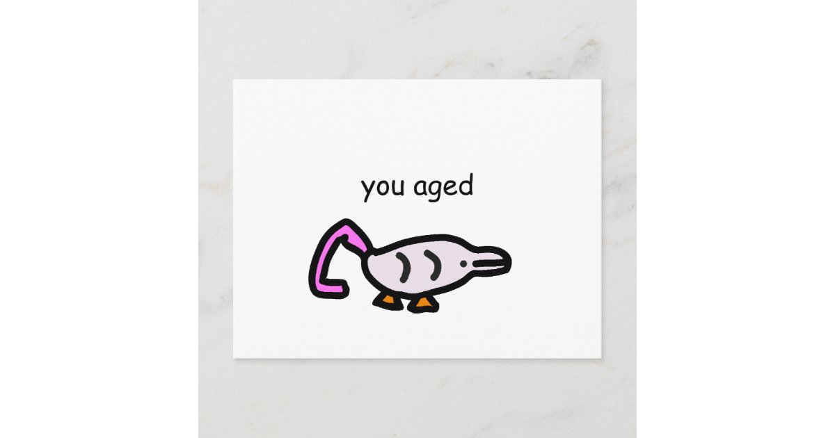 FF "Happy Birthday" Card | Zazzle