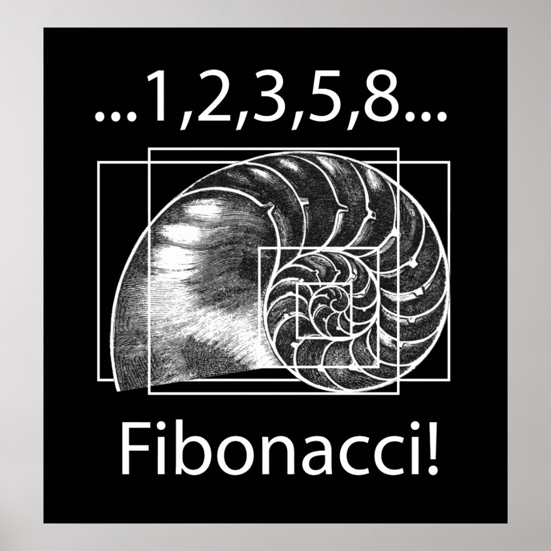 Fibonacci Poster | Zazzle