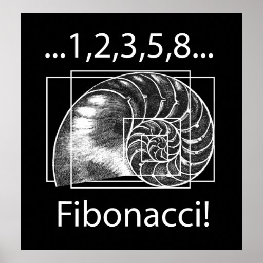 Fibonacci Poster | Zazzle