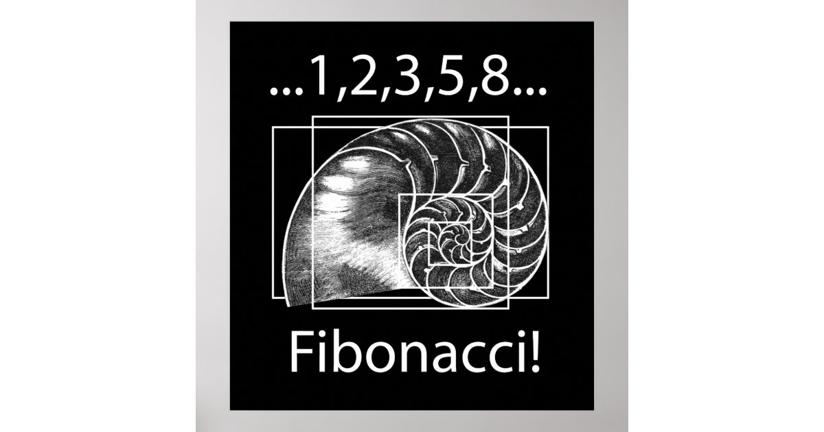 Fibonacci Poster | Zazzle