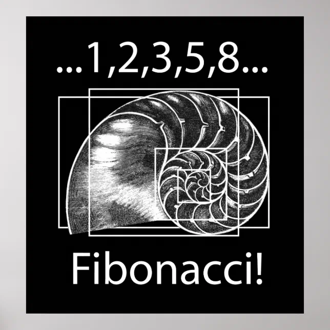 Fibonacci Poster | Zazzle