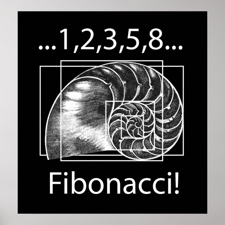 Fibonacci Poster | Zazzle