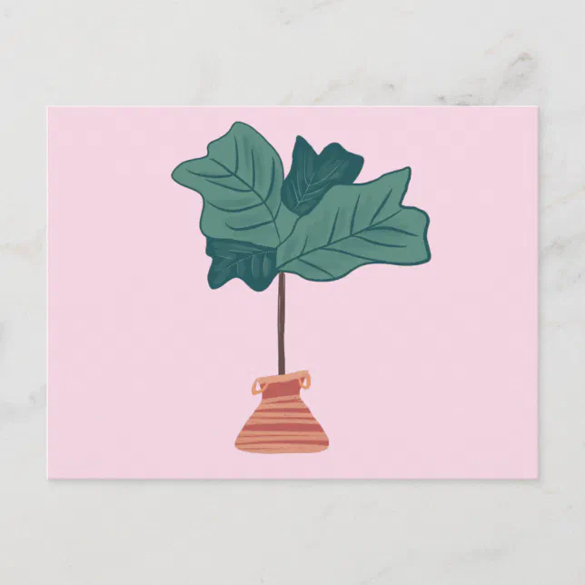 Fiddle Fig Tree Green Potted Plant Pink Postcard | Zazzle