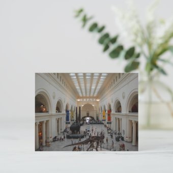 Field Museum Postcard | Zazzle