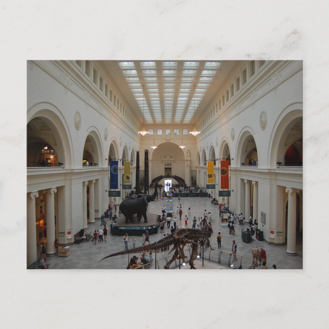 Field Museum Postcard | Zazzle