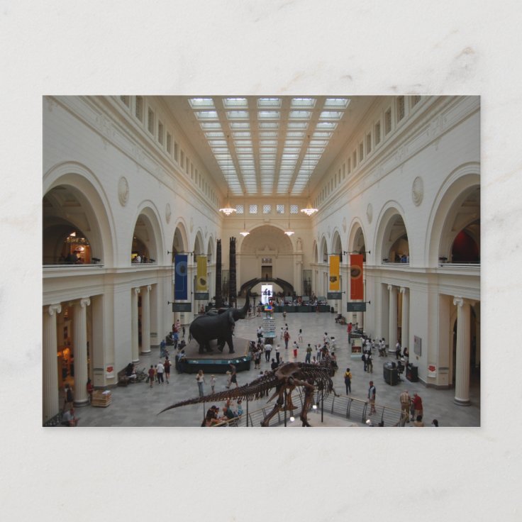 Field Museum Postcard | Zazzle