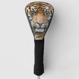 Fierce Tiger Face Photo Golf Head Cover | Zazzle