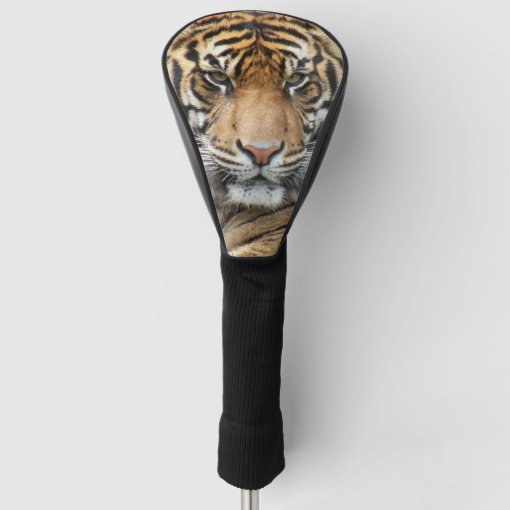 Fierce Tiger Face Photo Golf Head Cover | Zazzle