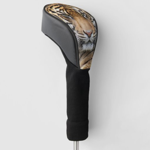 Fierce Tiger Face Photo Golf Head Cover | Zazzle