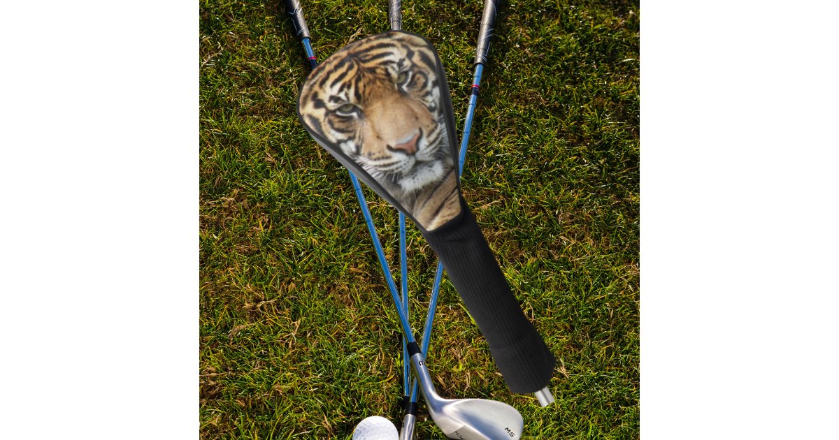 Fierce Tiger Face Photo Golf Head Cover | Zazzle
