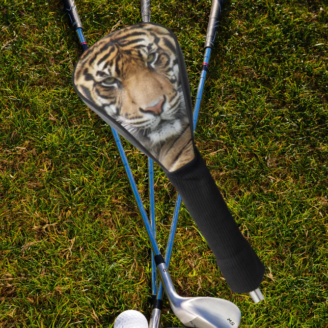 Fierce Tiger Face Photo Golf Head Cover | Zazzle