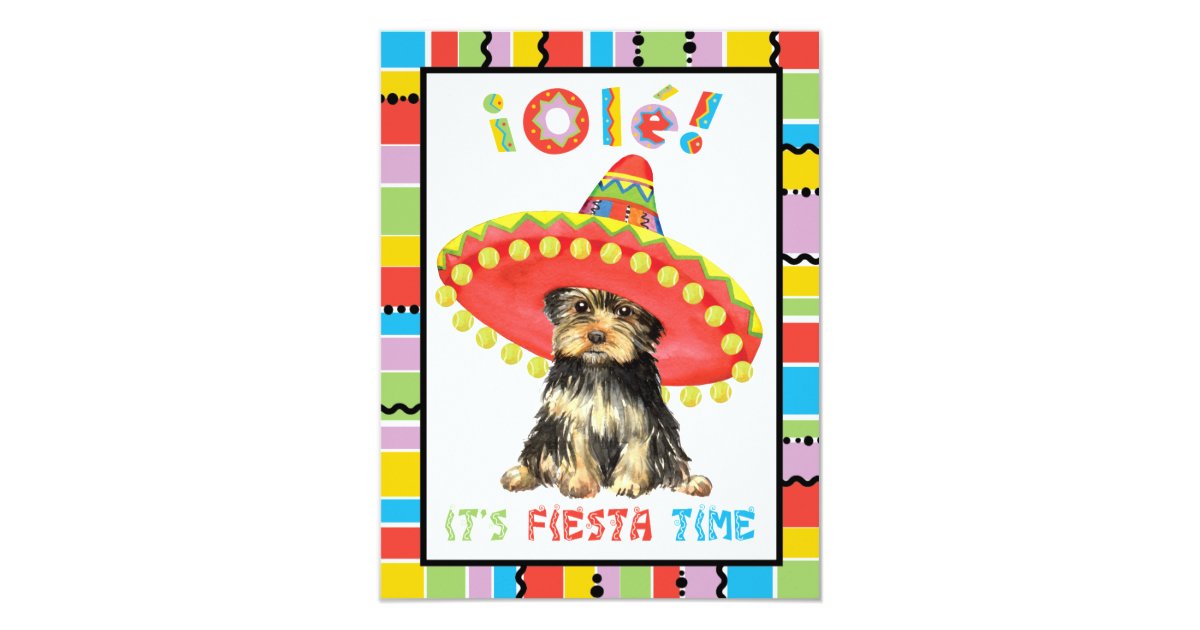 Fiesta Yorkie Invitation | Zazzle.com