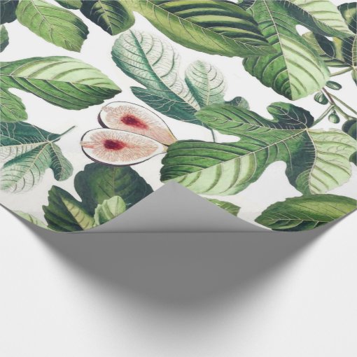 Fig Garden Wrapping Paper | Zazzle