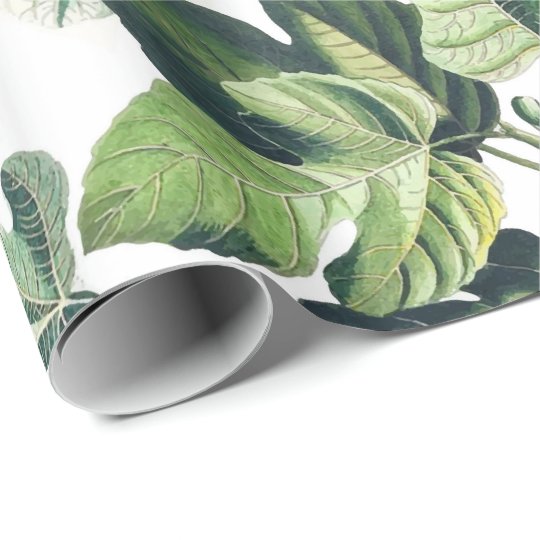 Fig Garden Wrapping Paper | Zazzle.com
