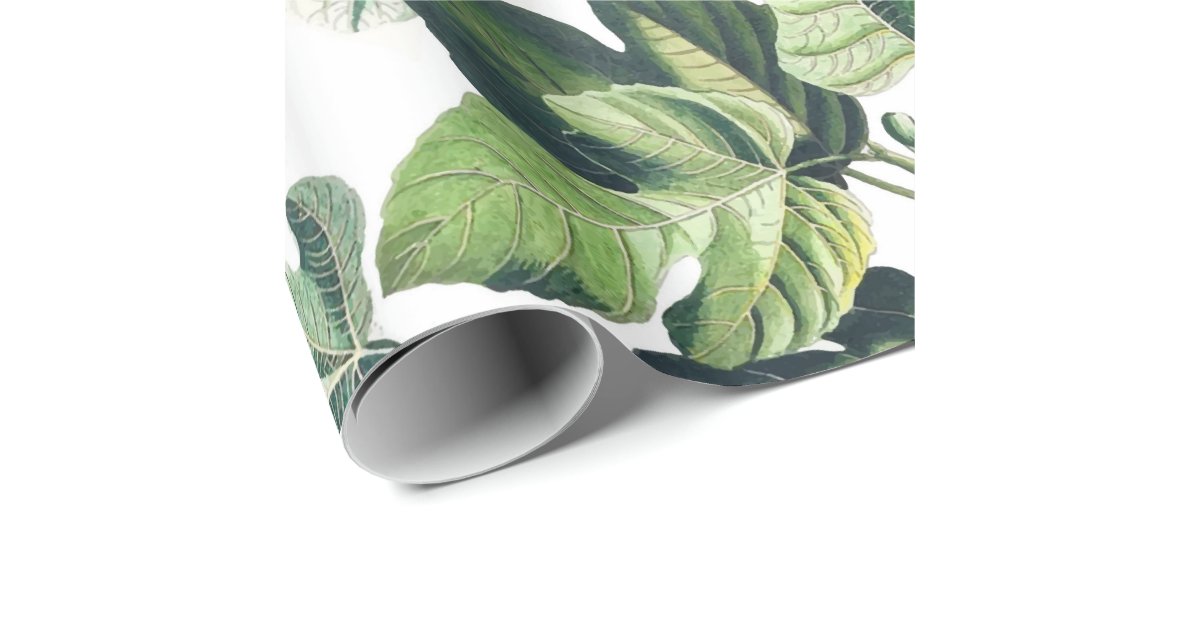Fig Garden Wrapping Paper | Zazzle
