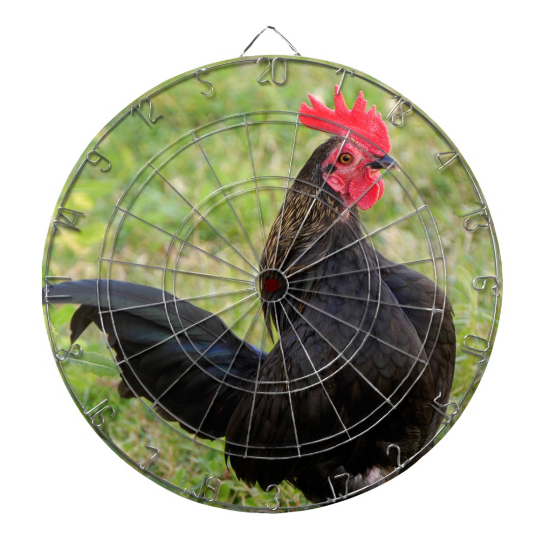 Fighting Rooster Dartboard | Zazzle