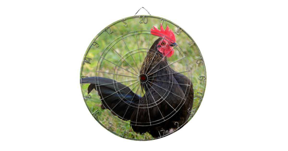 Fighting Rooster Dartboard | Zazzle