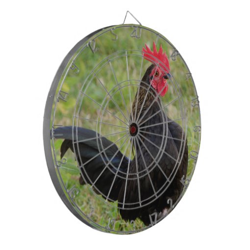 Fighting Rooster Dartboard | Zazzle