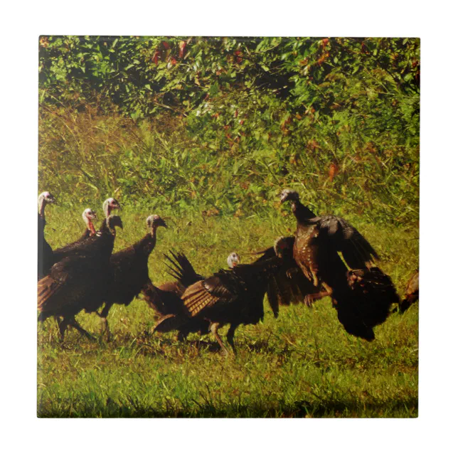 Fighting Wild Turkeys in The Smoky Mountains Ceramic Tile | Zazzle