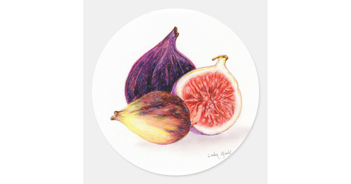 Figs Sticker | Zazzle