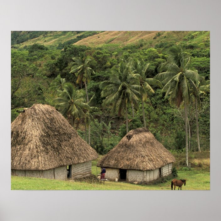 Fiji, Viti Levu, Navala, Traditional Bure houses Poster | Zazzle.com