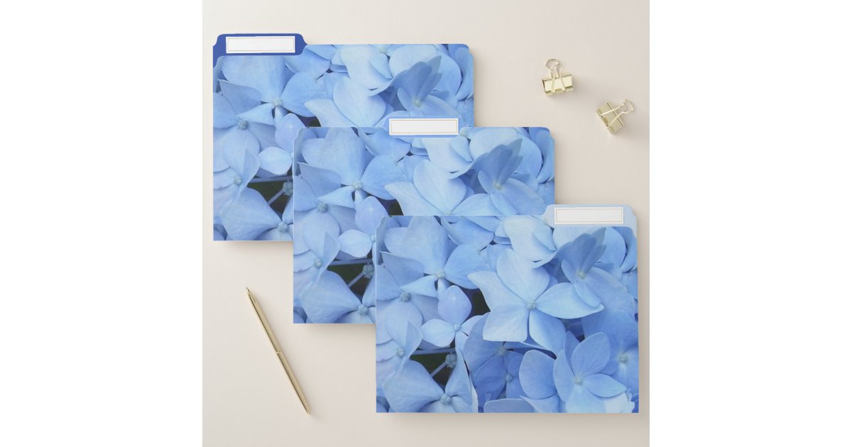 File Folders - Blue Hydrangeas | Zazzle