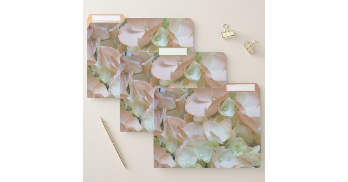 File Folders - Peach Hydrangeas | Zazzle