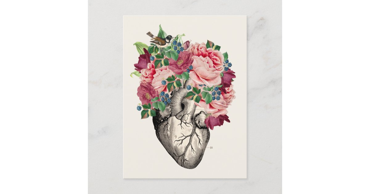 Filled to Overflowing Anatomical Heart Postcard | Zazzle