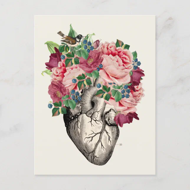 Filled to Overflowing Anatomical Heart Postcard | Zazzle